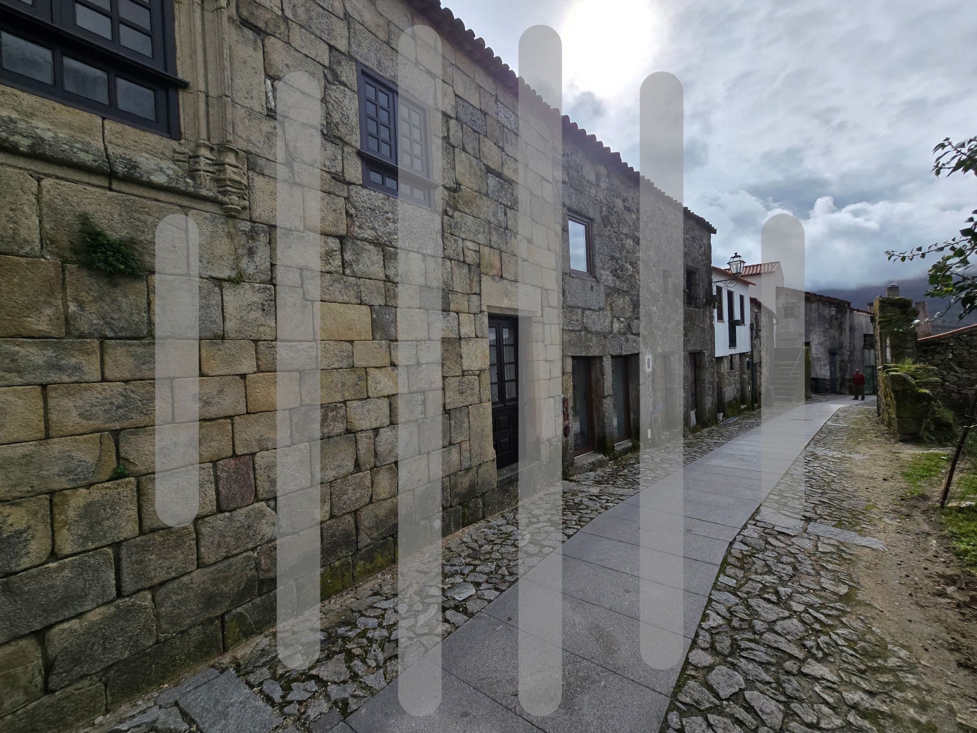 Leilão Presencial | LeilOn