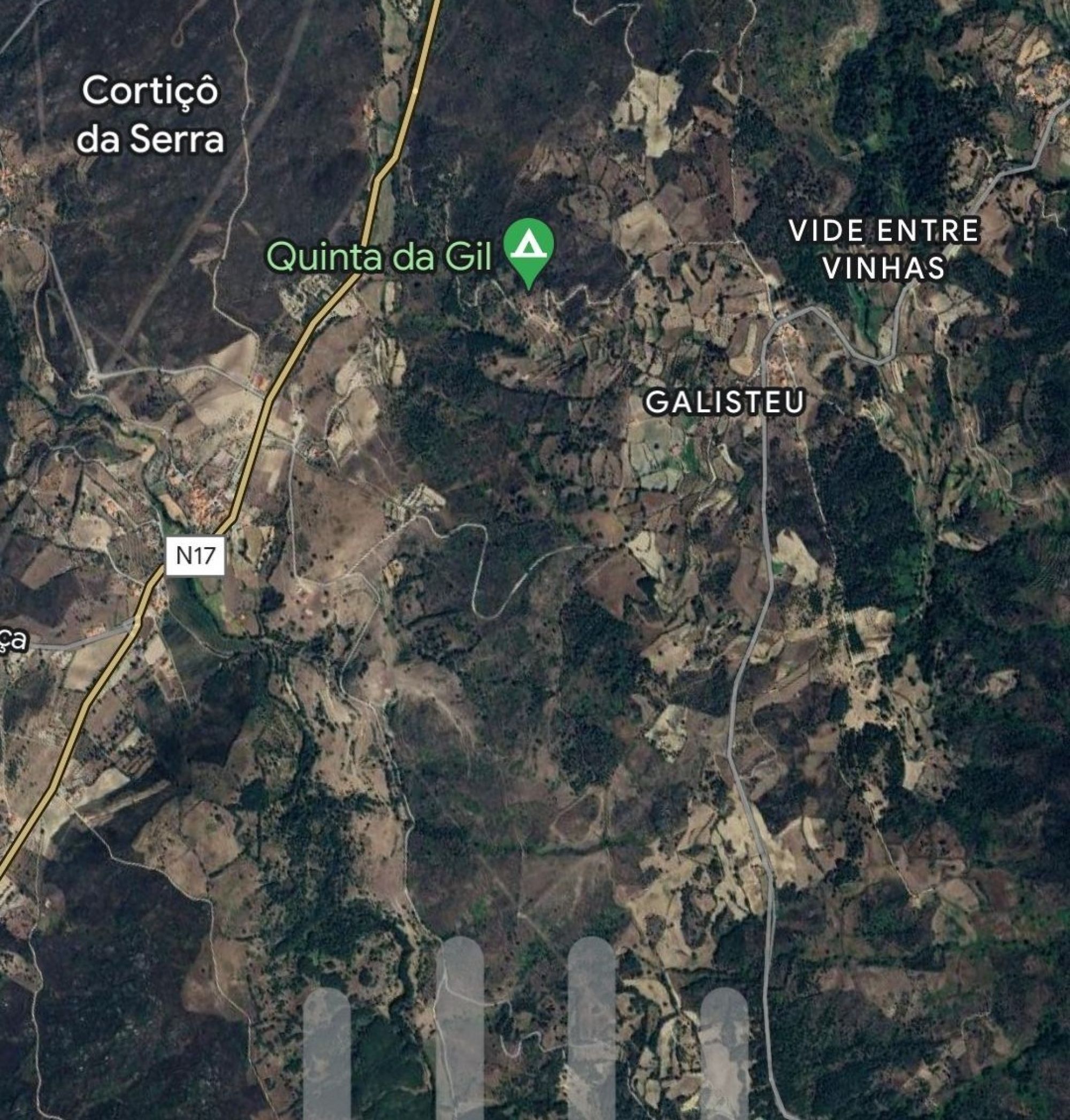 Leilão Presencial | LeilOn