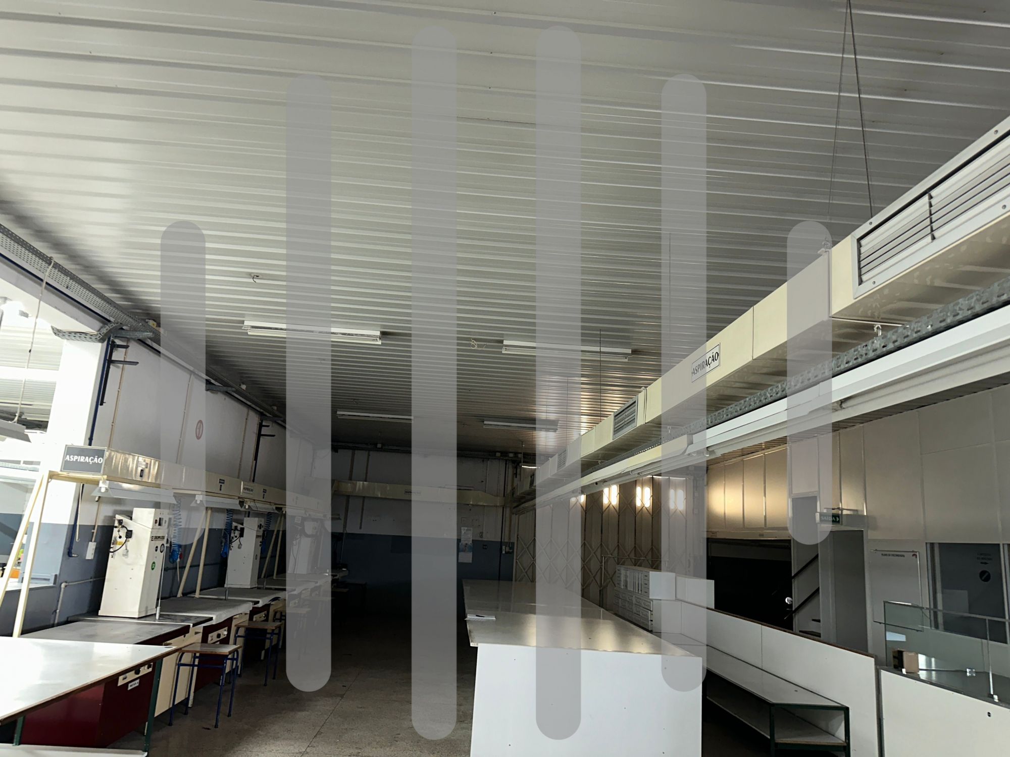 Leilão Presencial | LeilOn