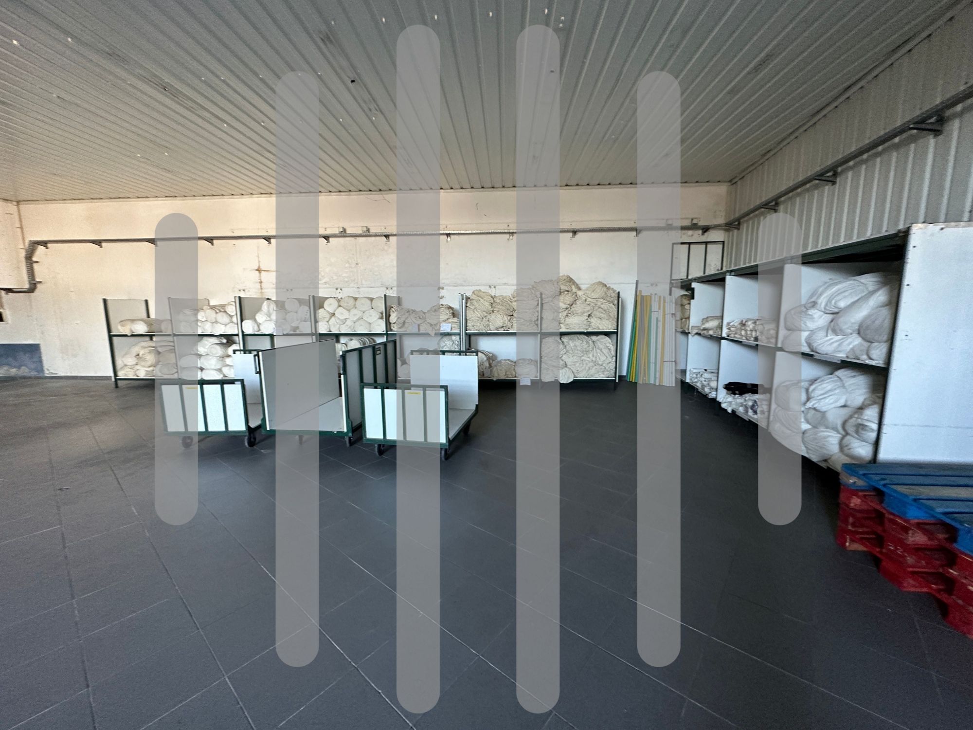 Leilão Presencial | LeilOn