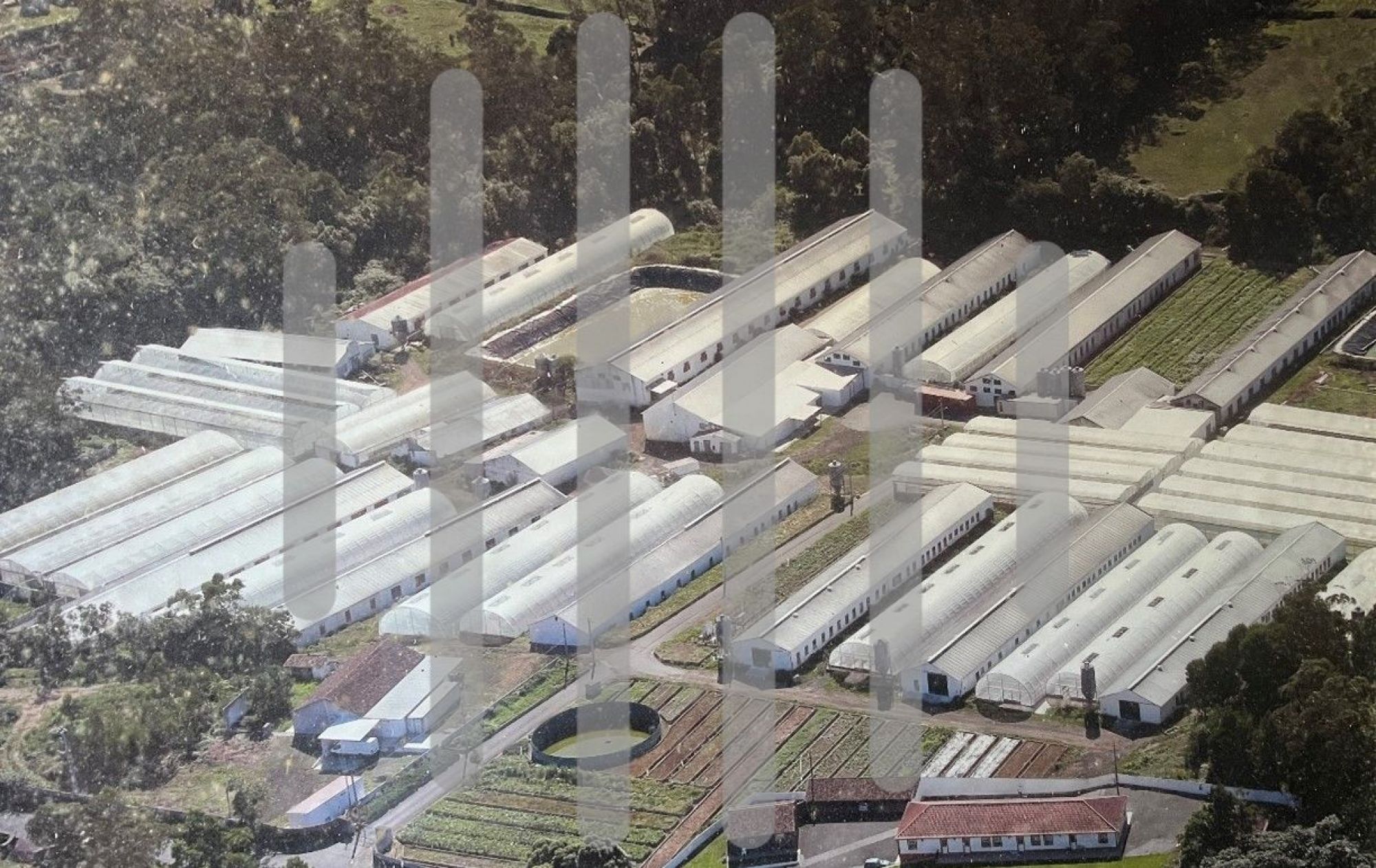 Leilão Presencial | LeilOn