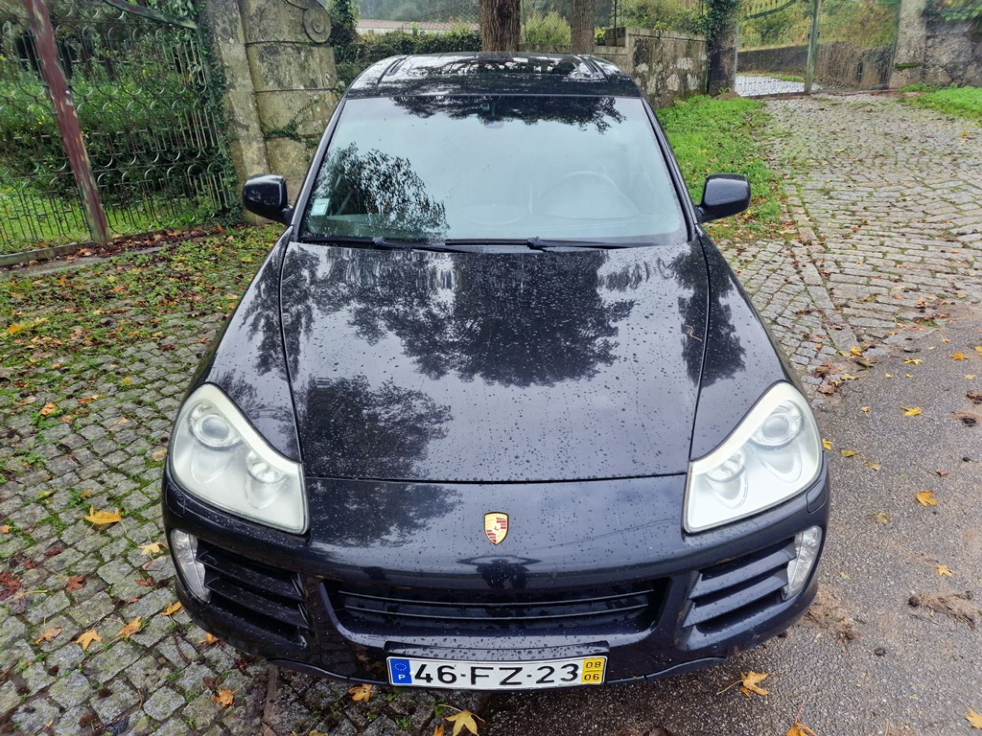 Leilão Presencial | LeilOn