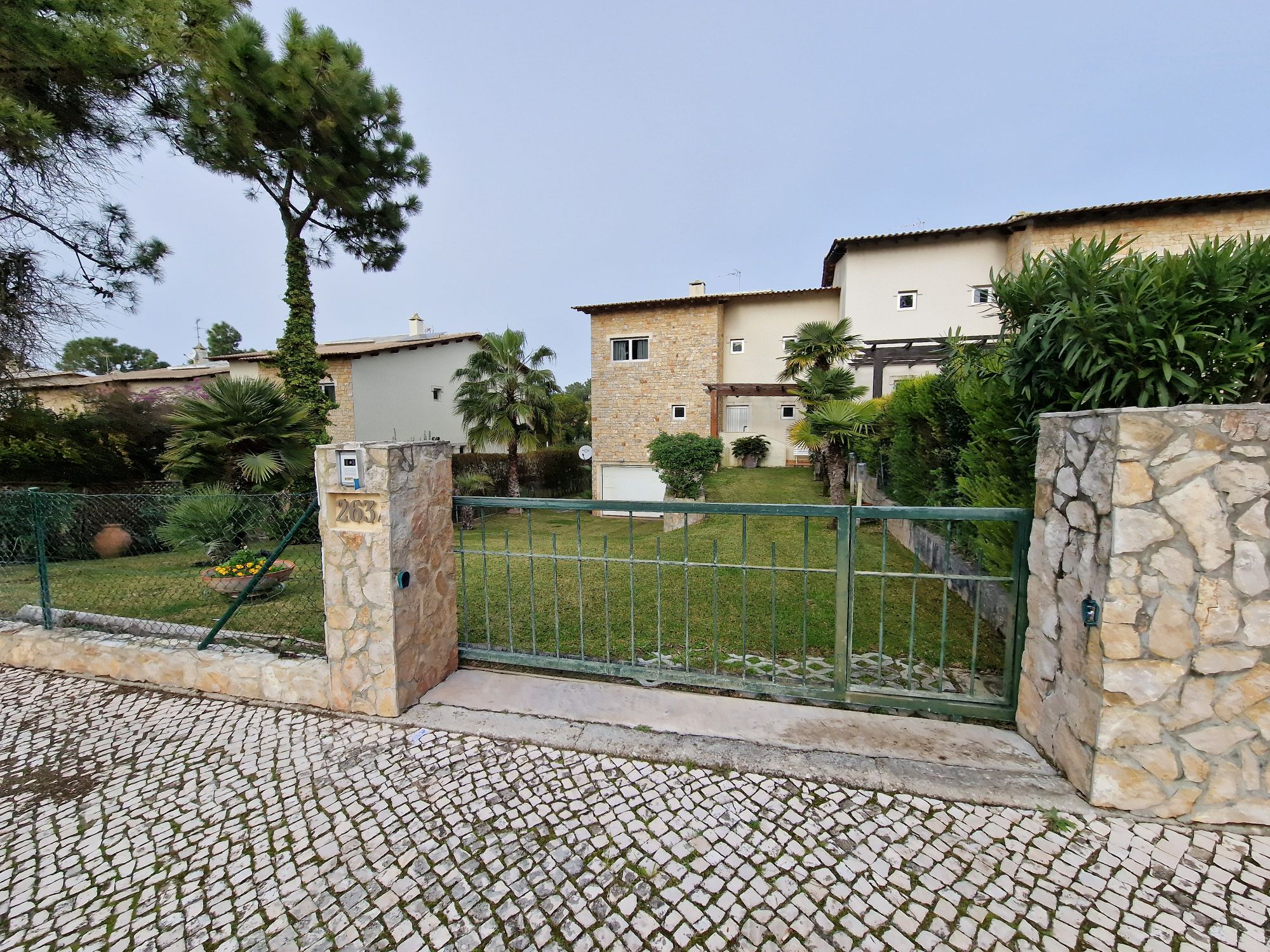 Leilão Presencial | LeilOn