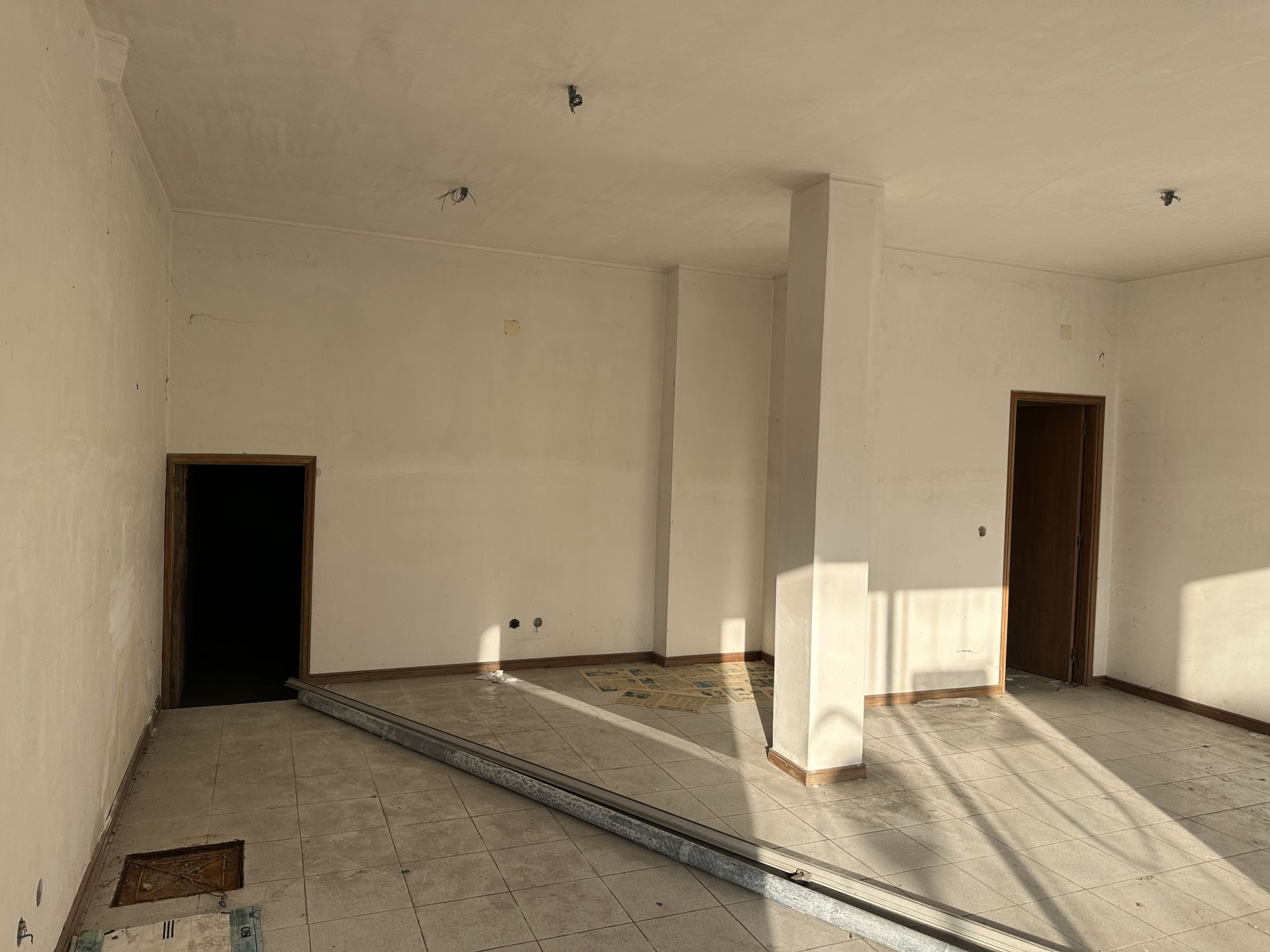 Leilão Presencial | LeilOn