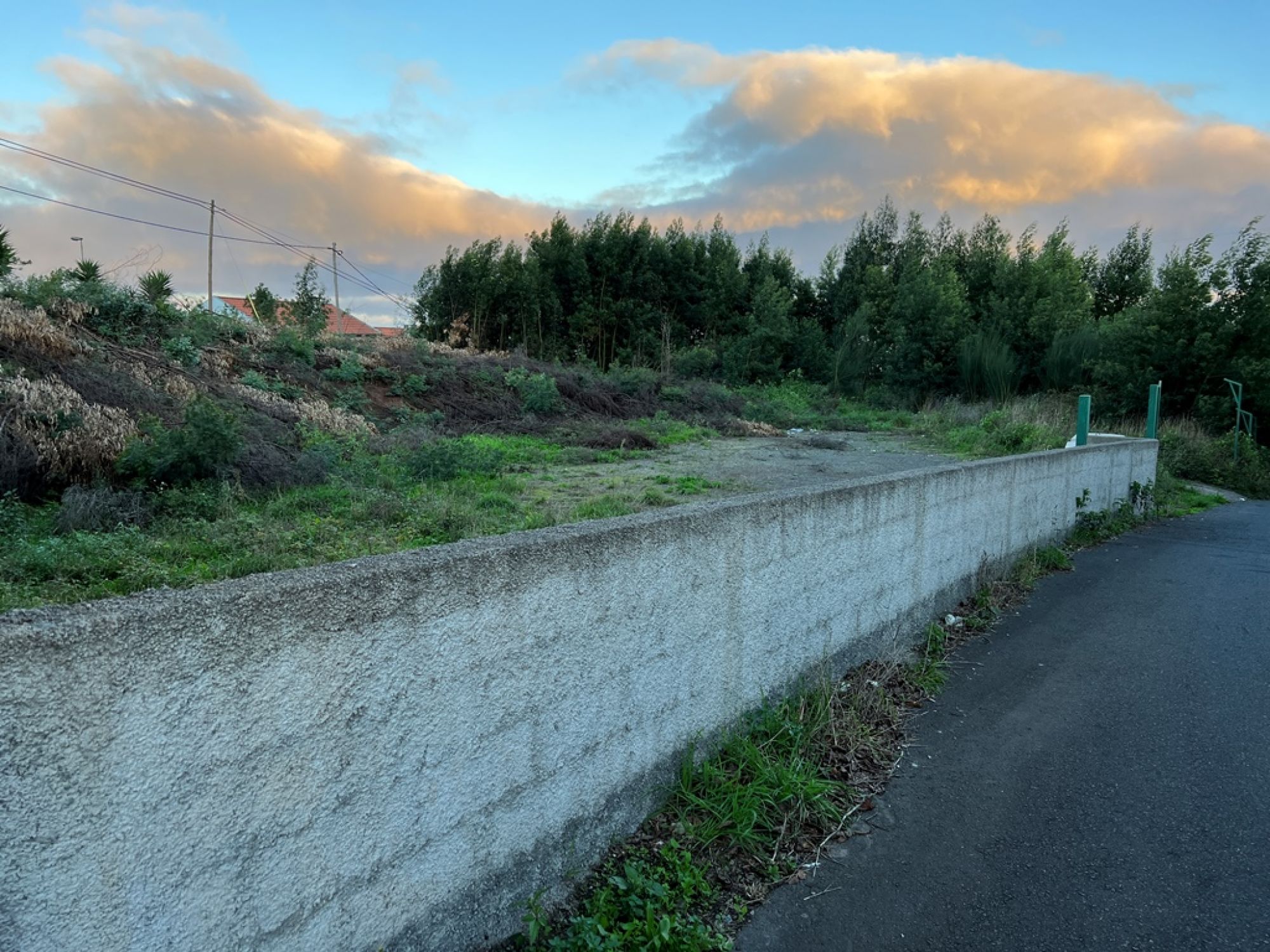 Leilão Presencial | LeilOn