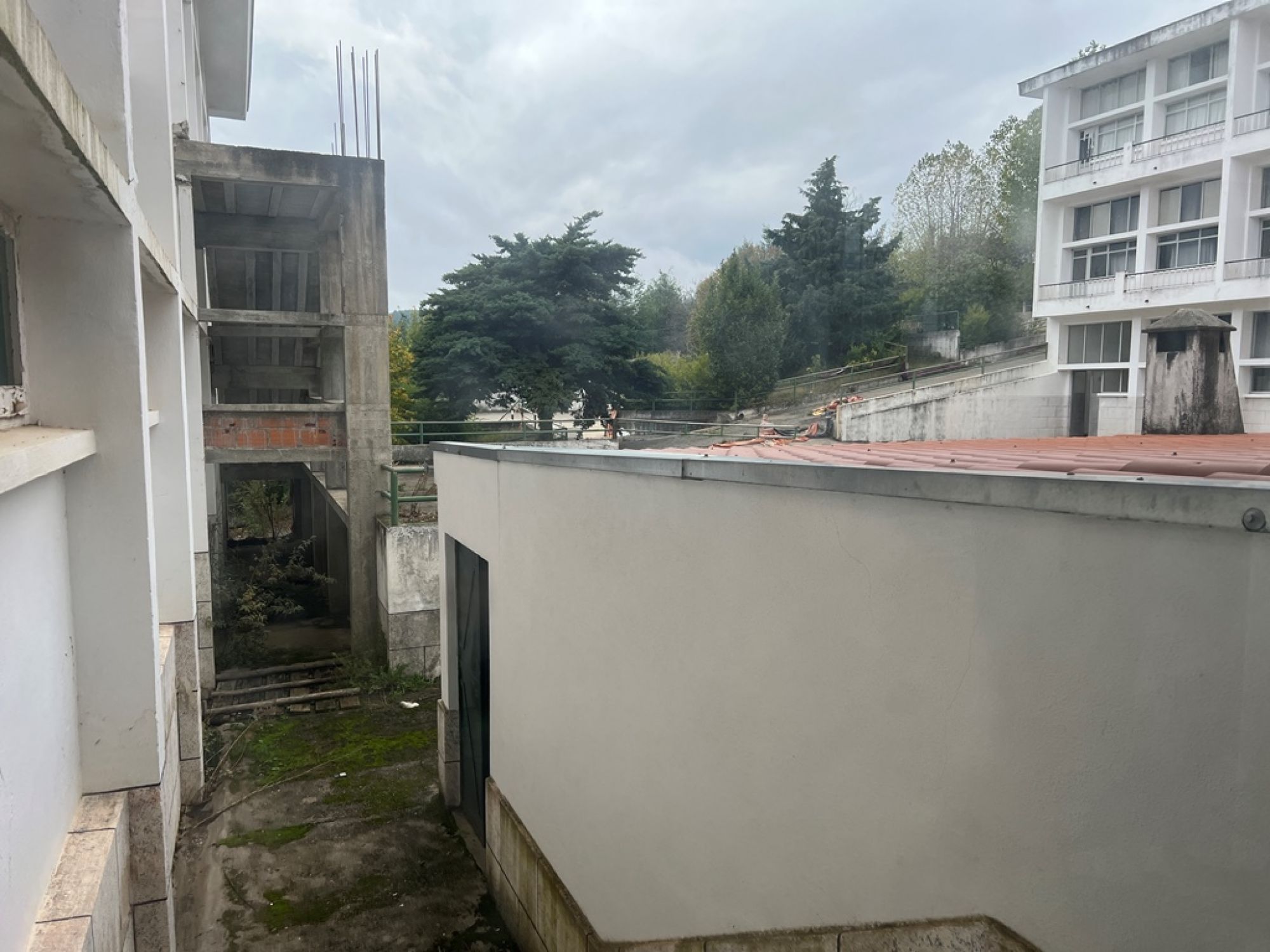 Leilão Presencial | LeilOn