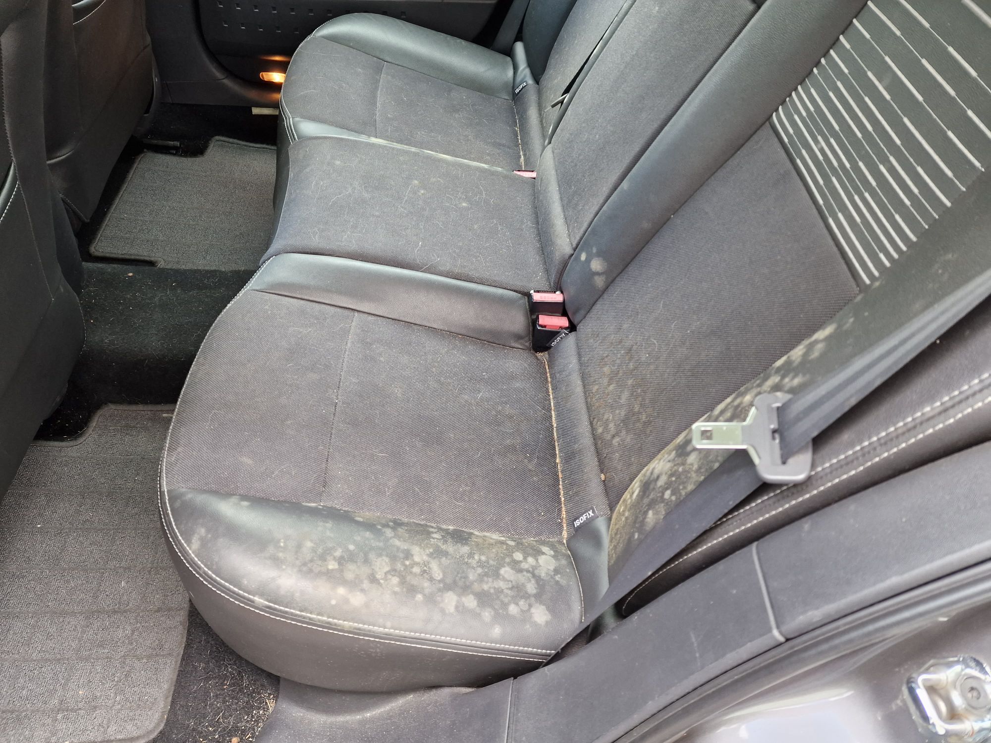 Leilão Presencial | LeilOn