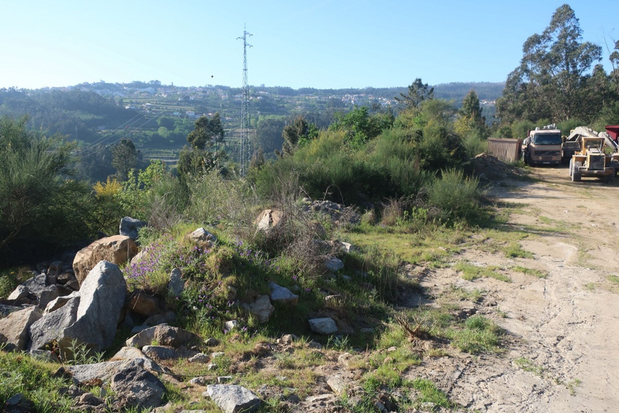 Leilão Presencial | LeilOn