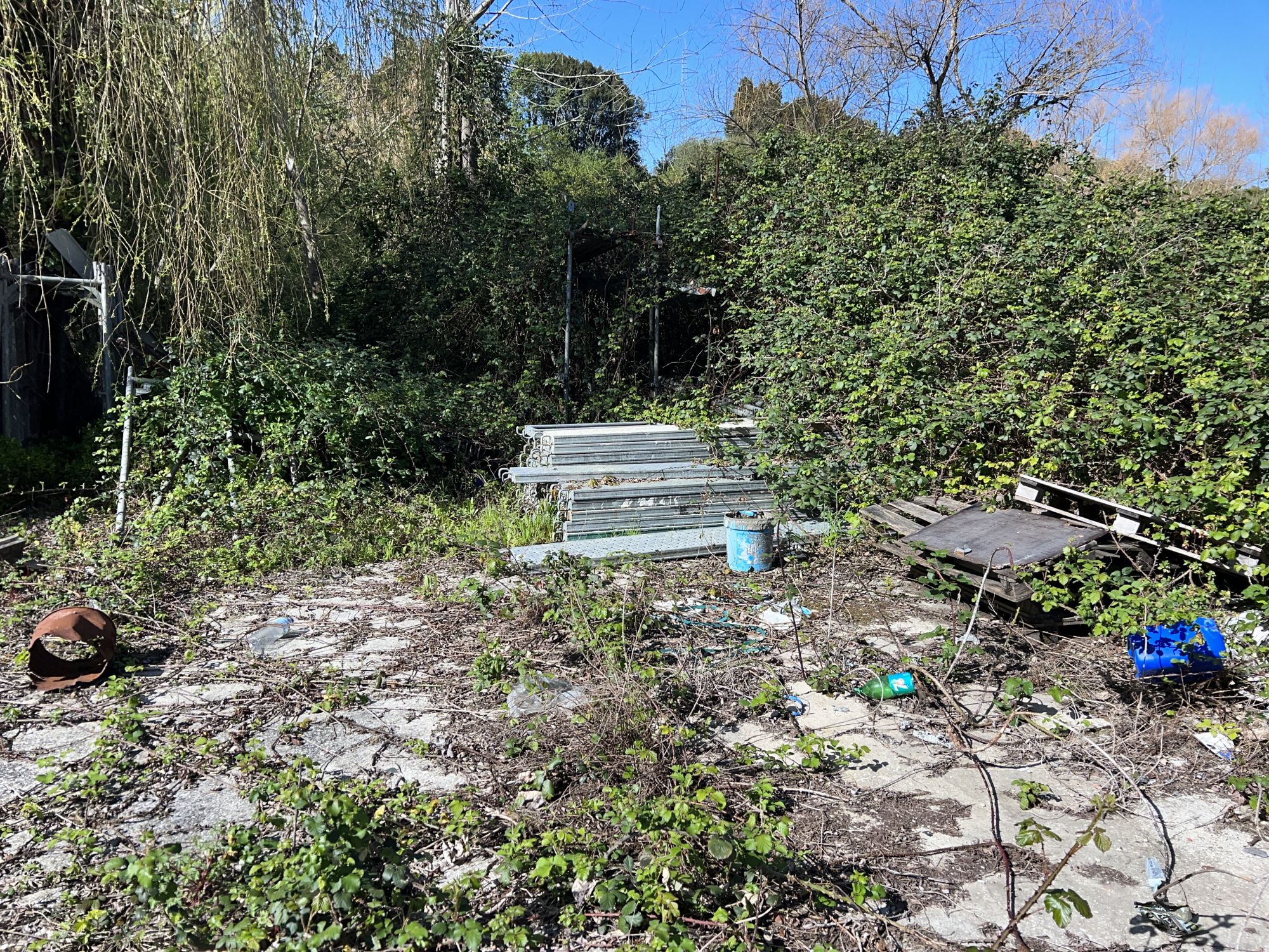 Leilão Presencial | LeilOn