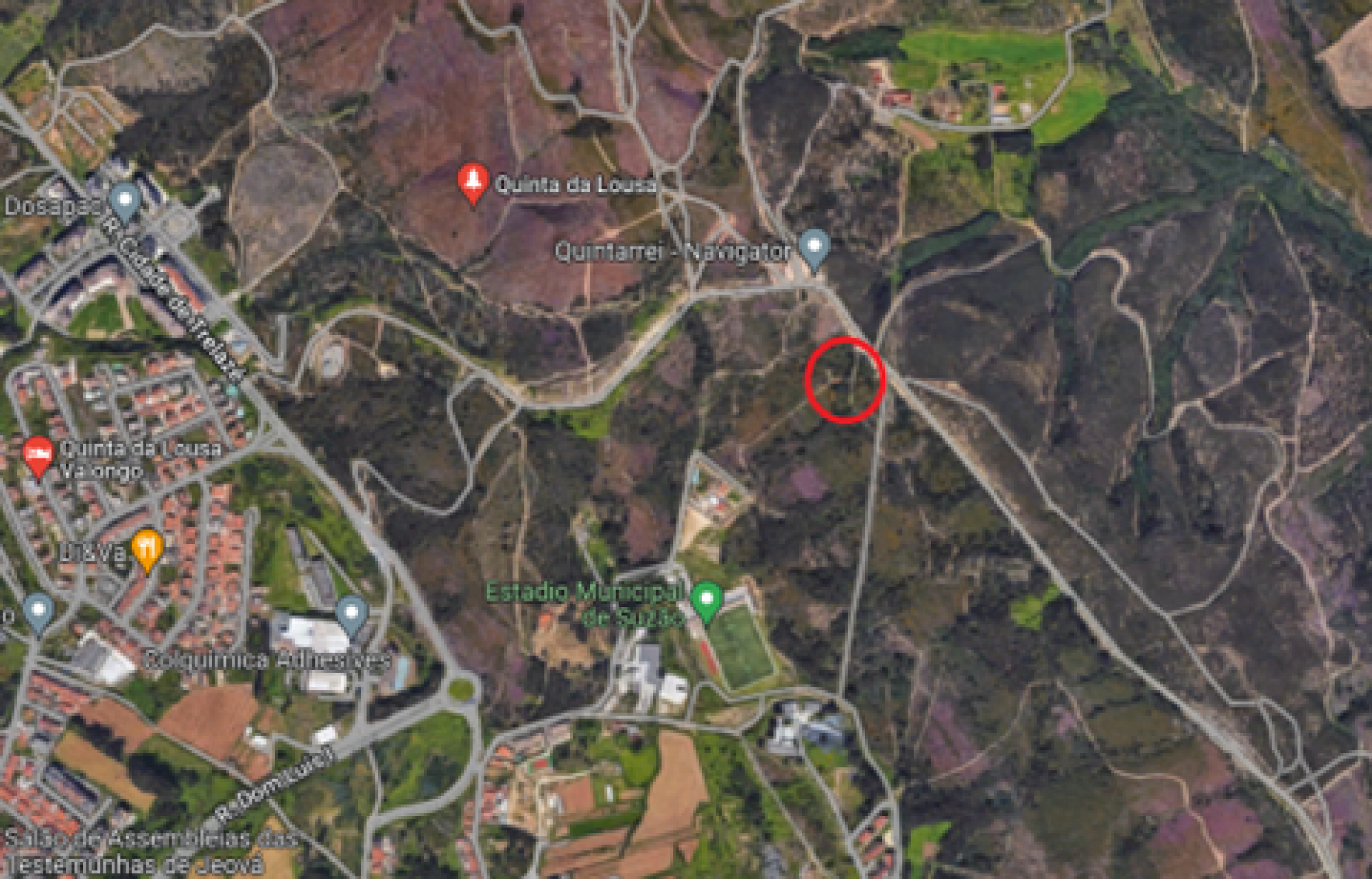 Leilão Presencial | LeilOn