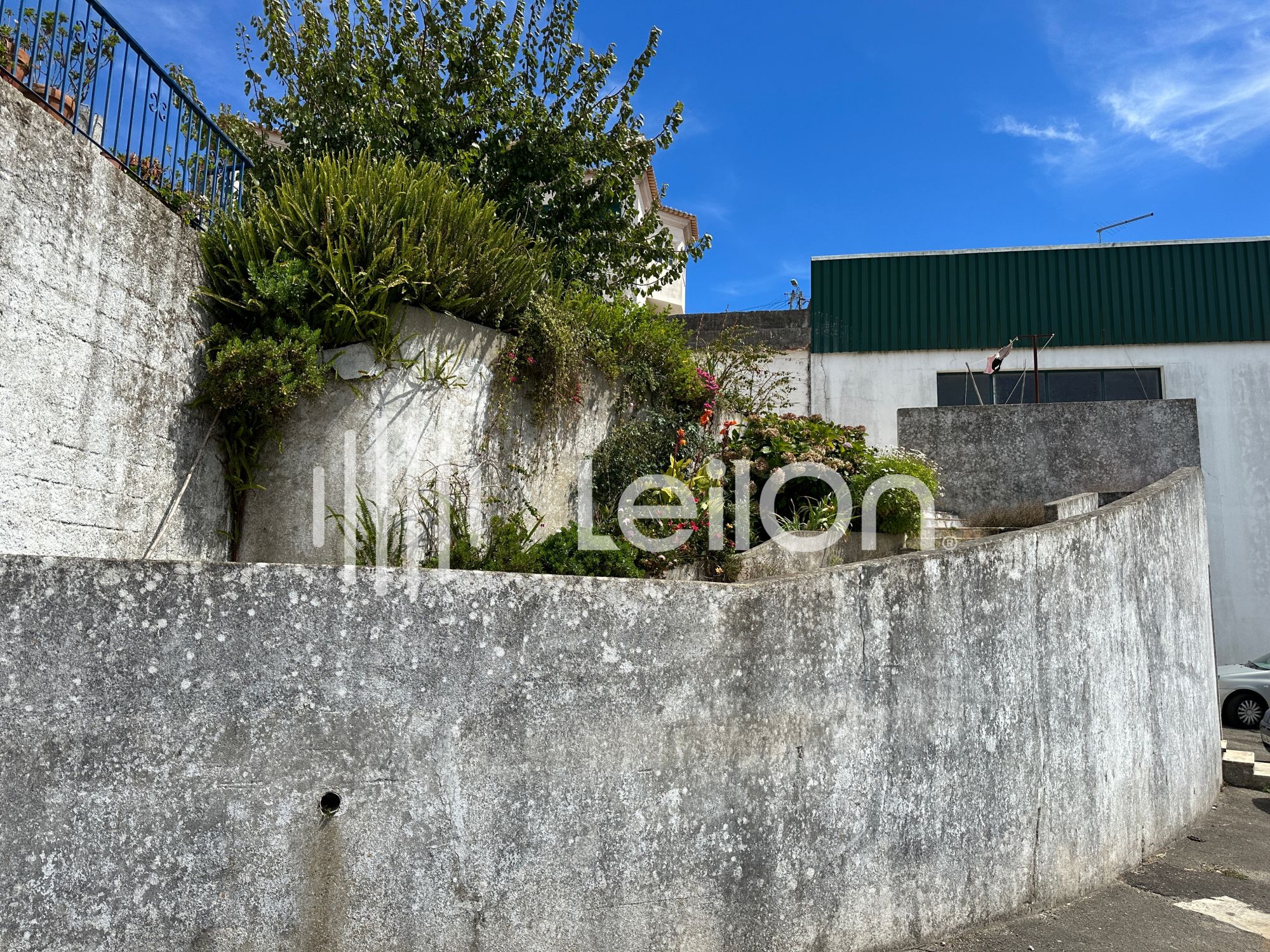 Leilão Presencial | LeilOn