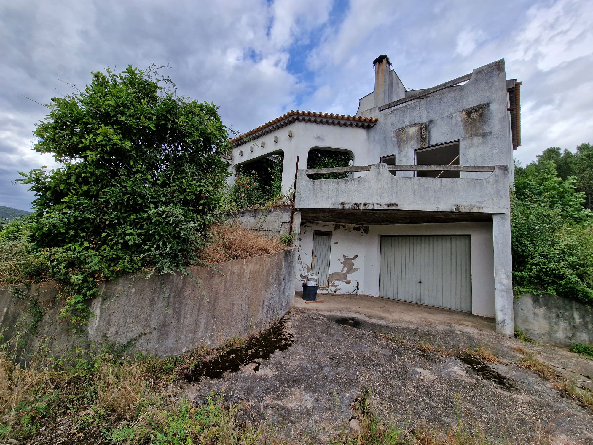 Leilão Presencial | LeilOn