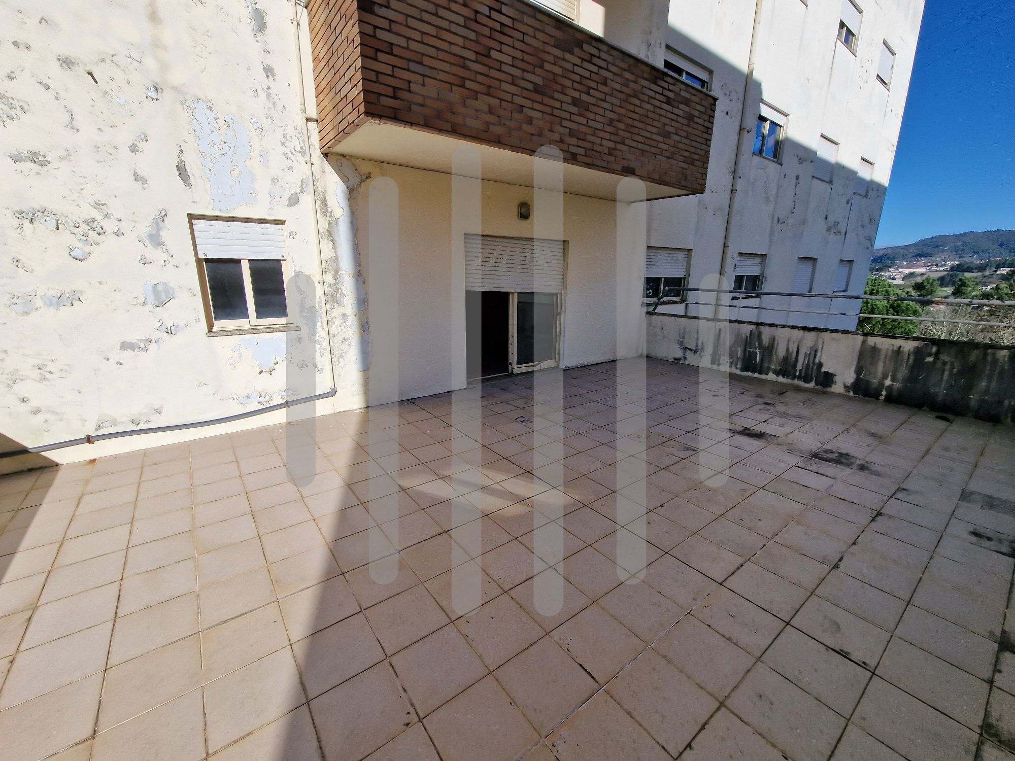 Leilão Presencial | LeilOn