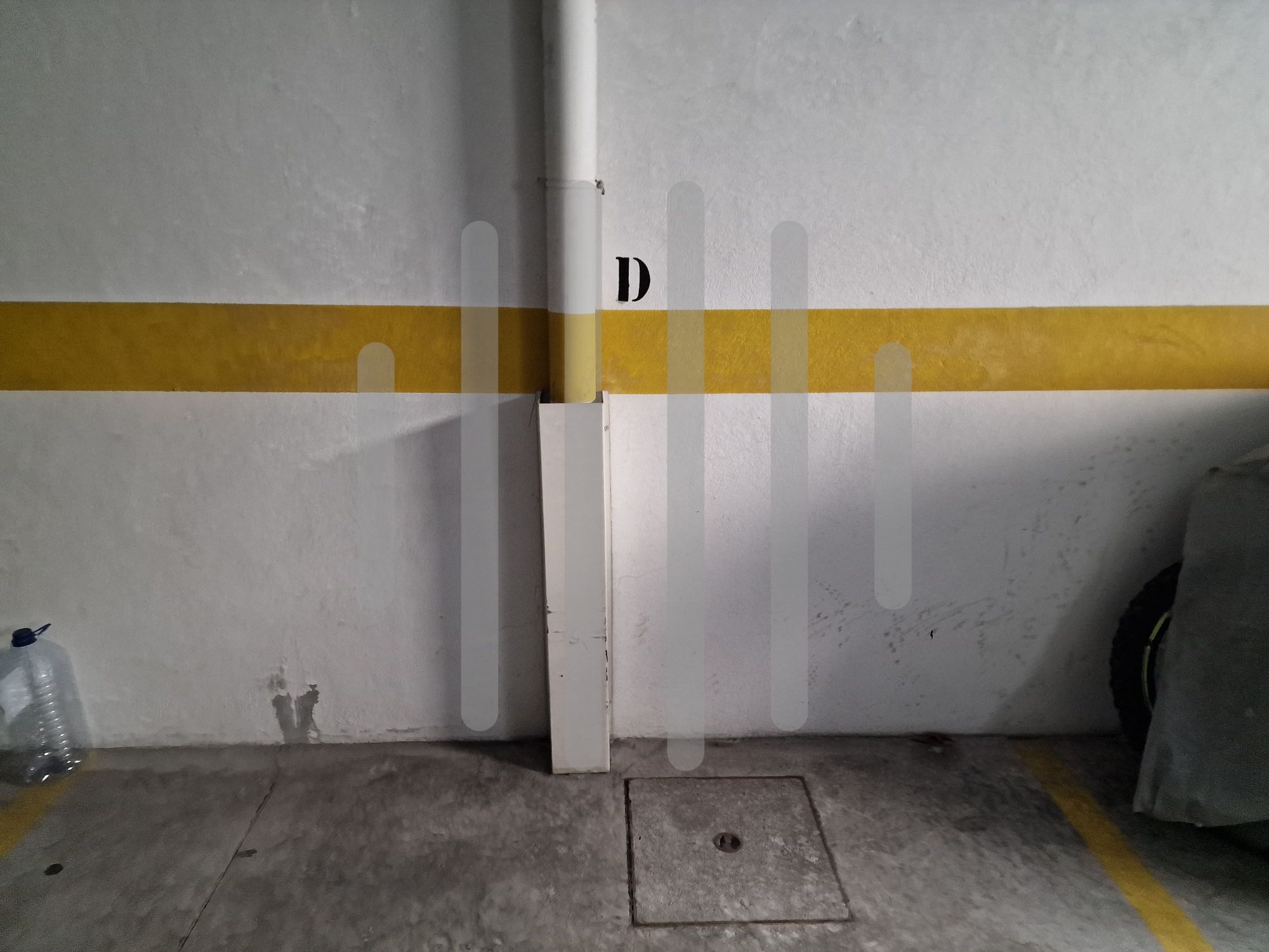 Leilão Presencial | LeilOn