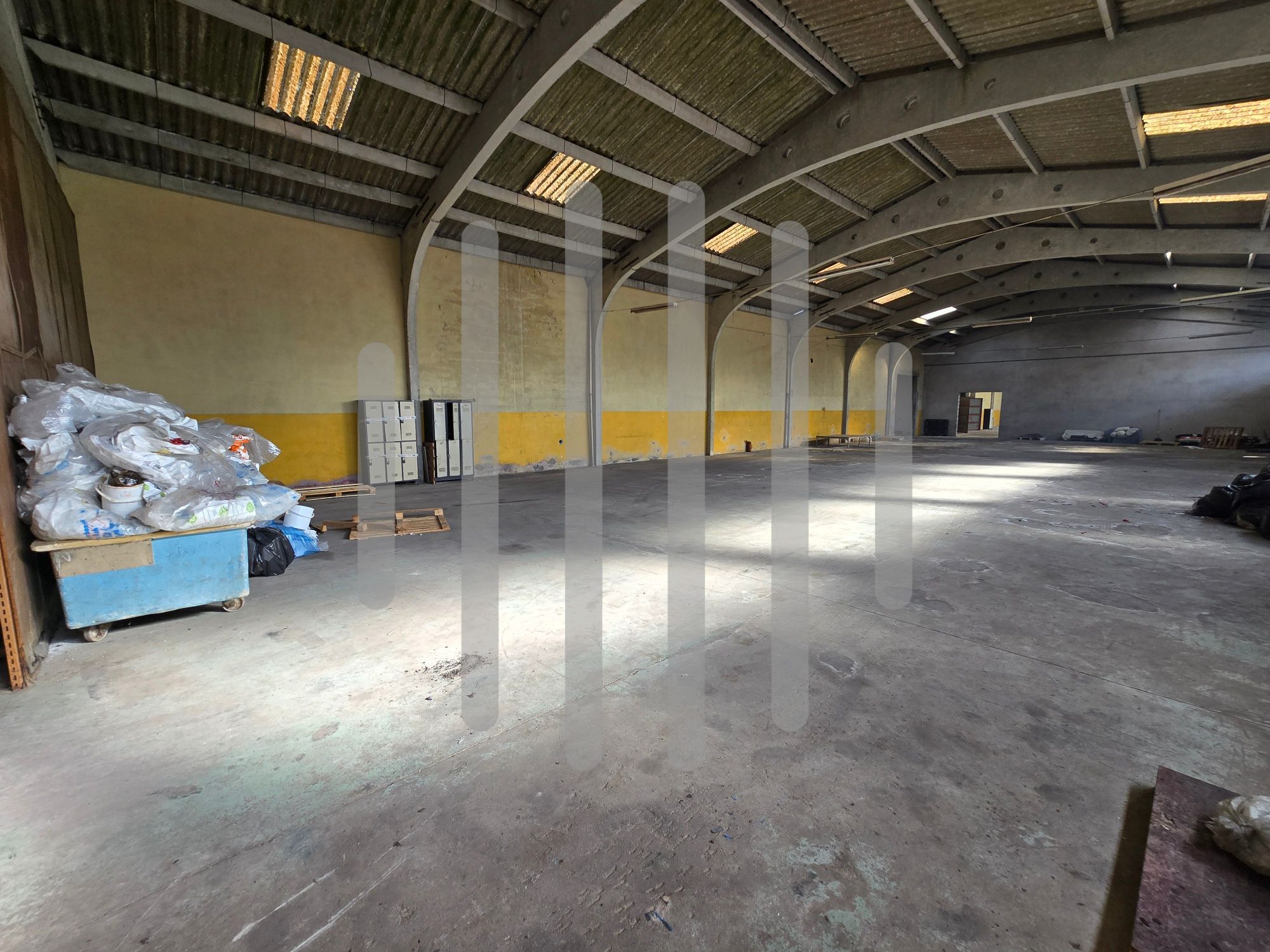 Leilão Presencial | LeilOn