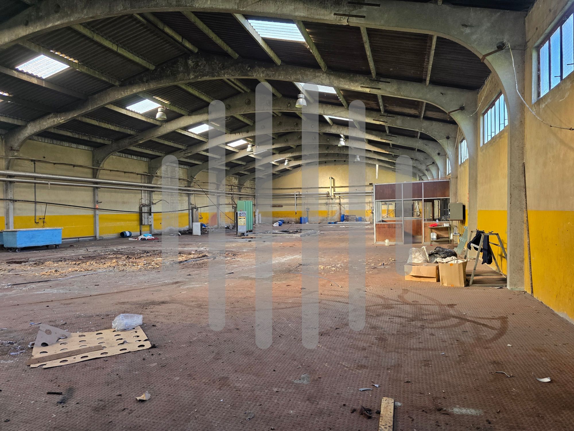 Leilão Presencial | LeilOn